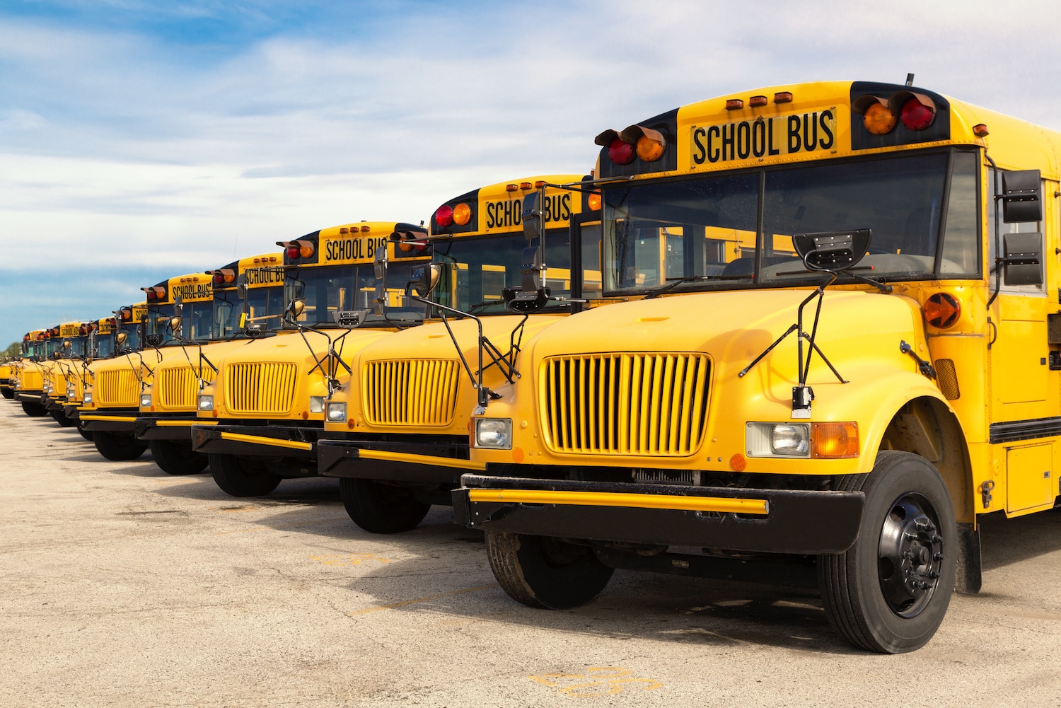 Importacion De Camiones Escolares Y Autobuses Grupo MCA